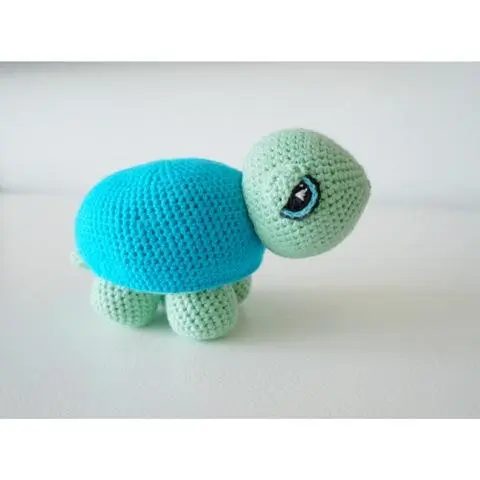 Sir. Turtle - Buy Today