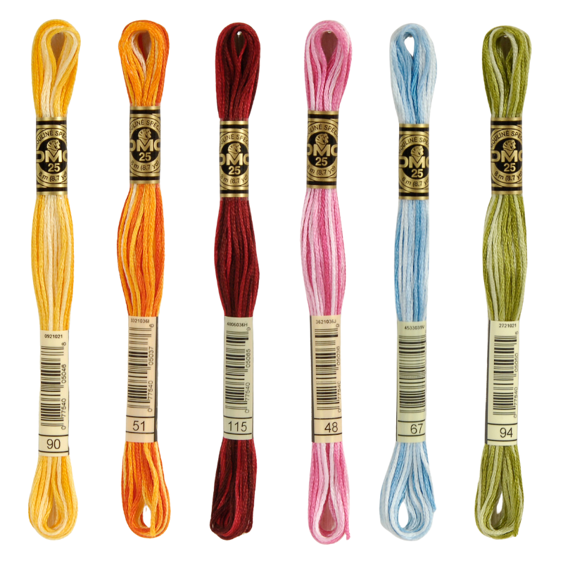 DMC Mouliné Spécial 25 Embroidery Thread, Color Changing - Buy Today