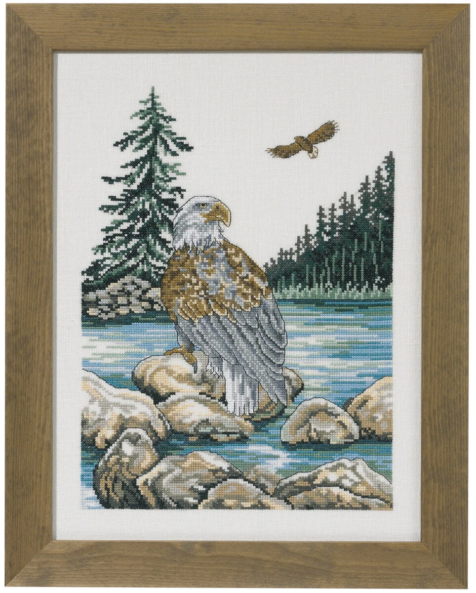 Shop Embroidery Kit White-tailed Eagle 12.2x16.14 in Today