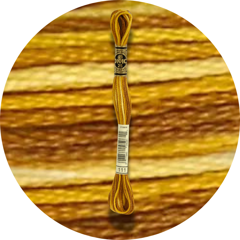 DMC Mouliné Spécial 25 Embroidery Thread, Color Changing - Buy Today