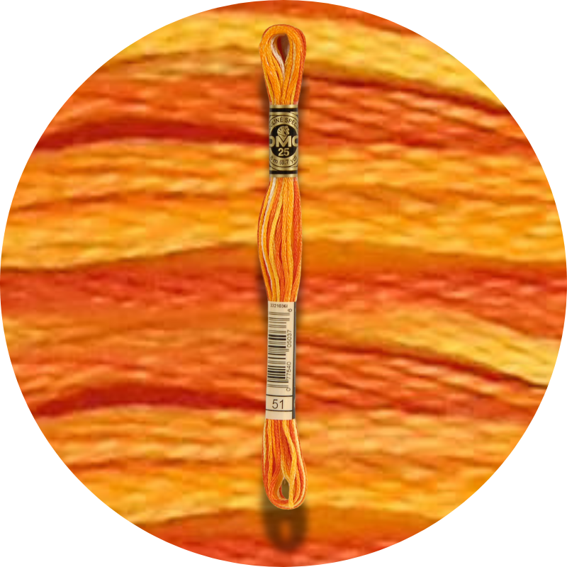 DMC Mouliné Spécial 25 Embroidery Thread, Color Changing - Buy Today