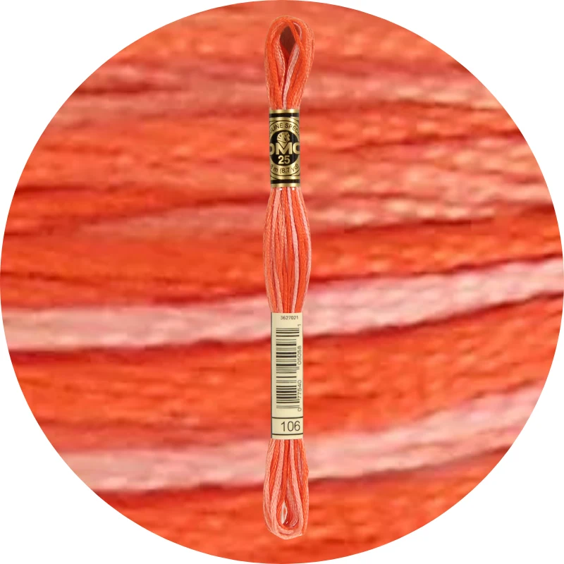 DMC Mouliné Spécial 25 Embroidery Thread, Color Changing - Buy Today